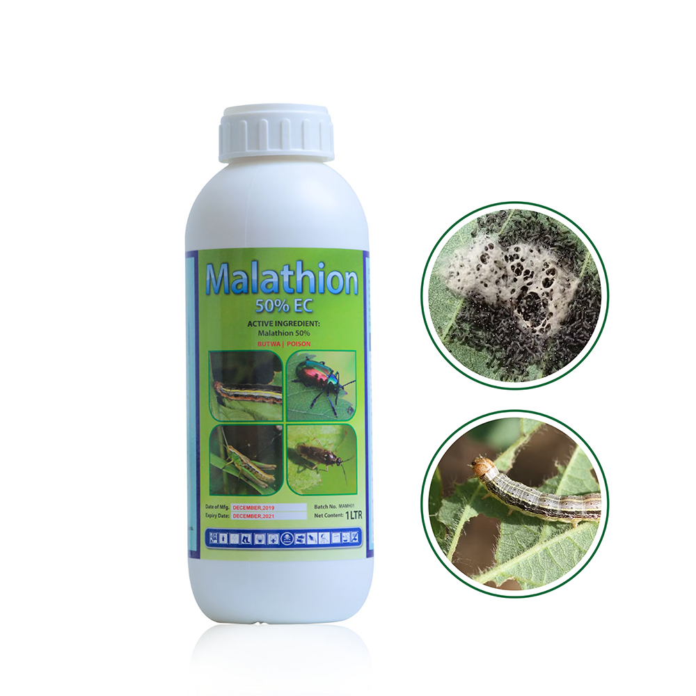 Malathion 50% EC - Momo Agro Chemicals